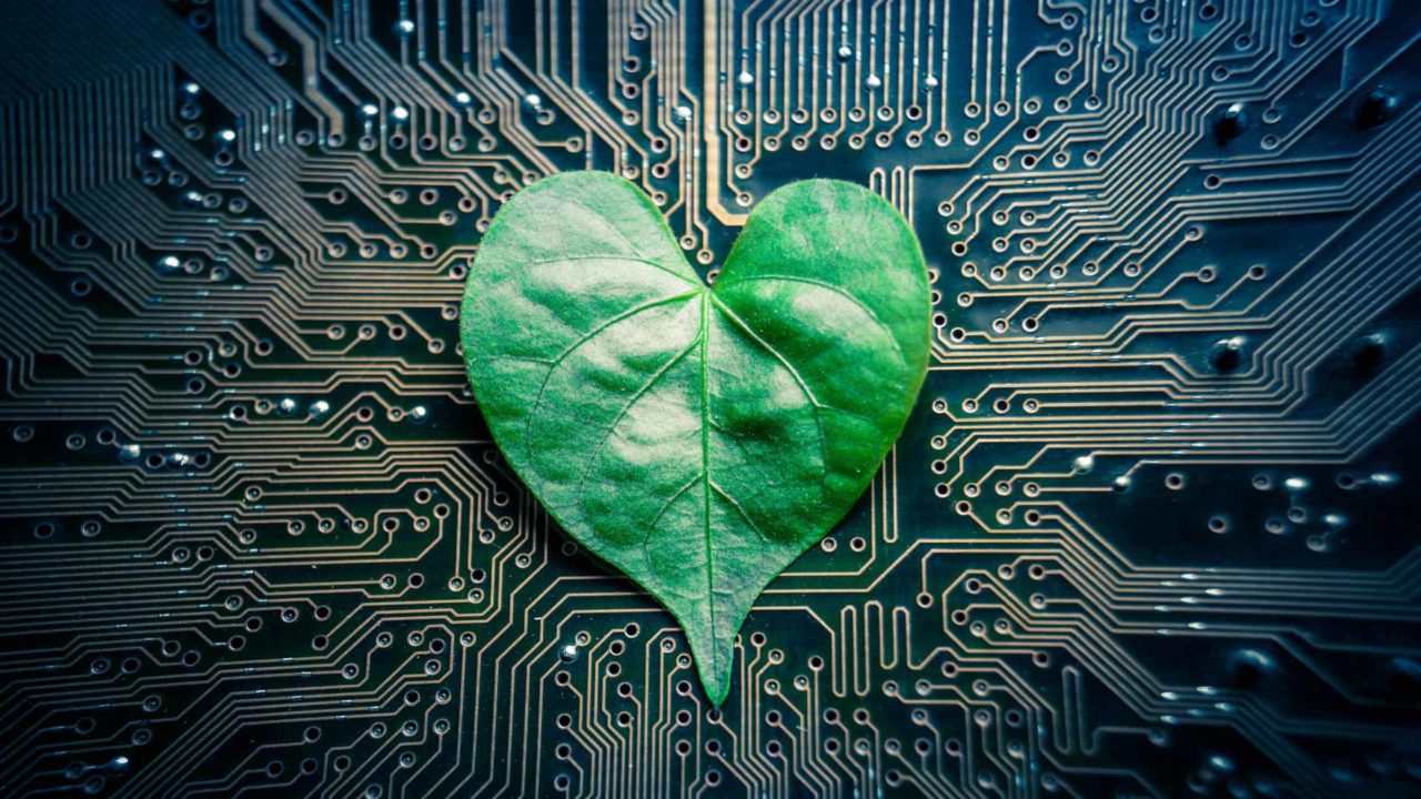 Green software: ecco perchè la sostenibilità aziendale passa anche da qui